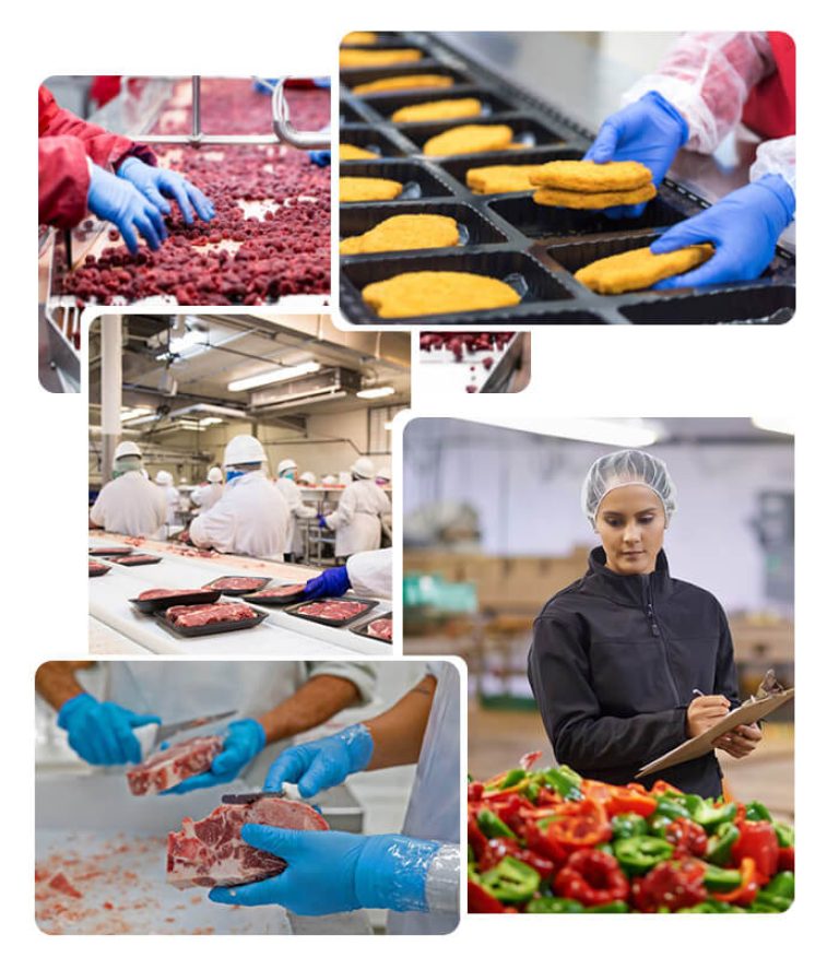 Food - Uitzendbureau in flexkrachten voedselverwerkende (productie ...